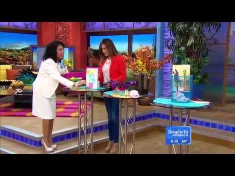 Despierta America / Univision - MyAIU TV
